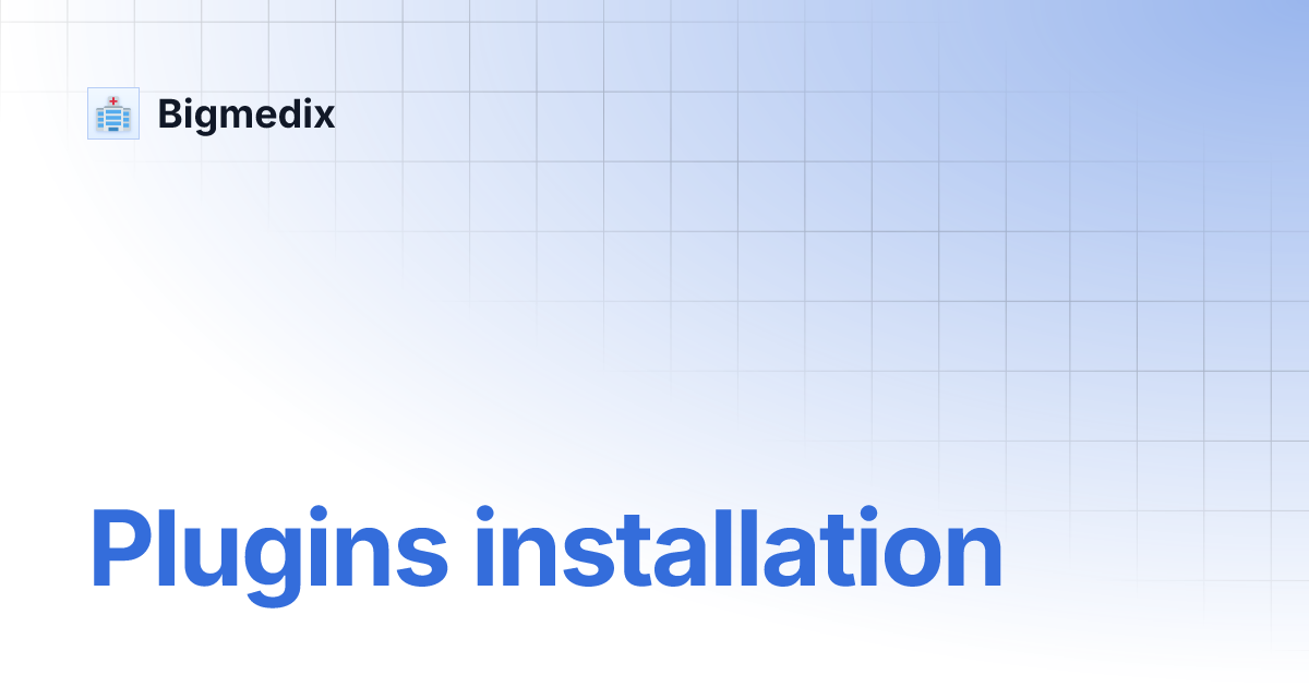 Plugins installation | Bigmedix